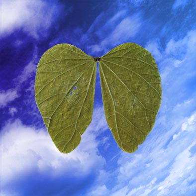 Exhibitions: Transit – Cath Bowdler